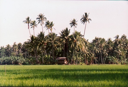 Aloran, Misamis Occidental